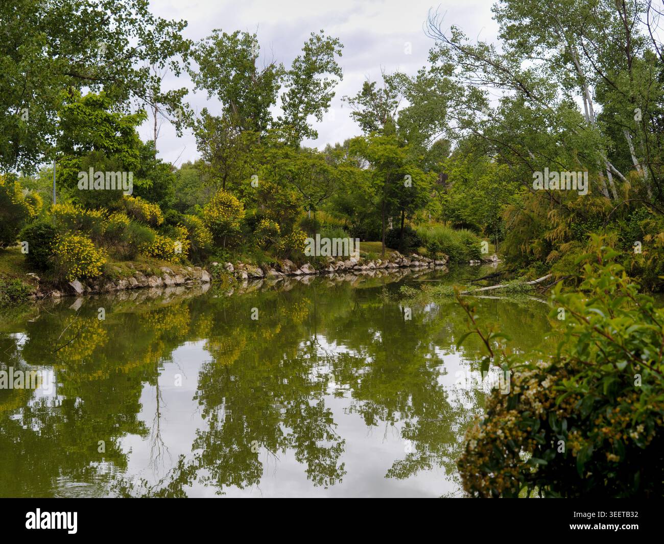 A lake sits still while trees and plants grow along its edges. The ...