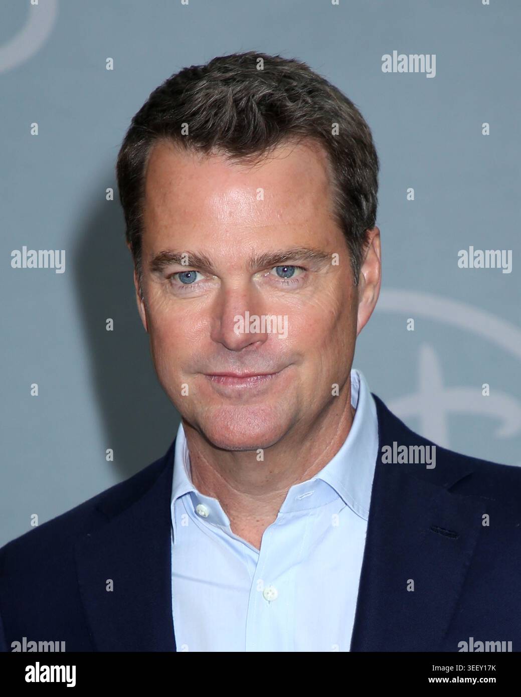Chris O'Donnell attending the 2026 Disney Upfront held at the Javits ...