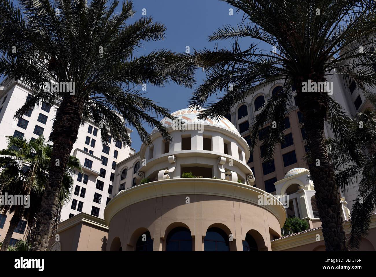 Residential building palm tree hi-res stock photography and images - Alamy