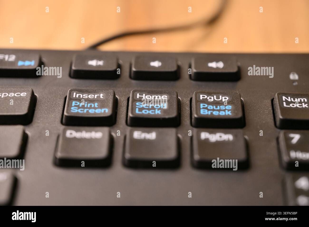 Modern Minimal Keyboard Macro Shot Featuring Home and Scroll Lock Keys ...