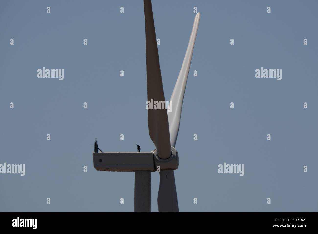 A worker stands on top of a wind turbine as he does maintenance on the ...