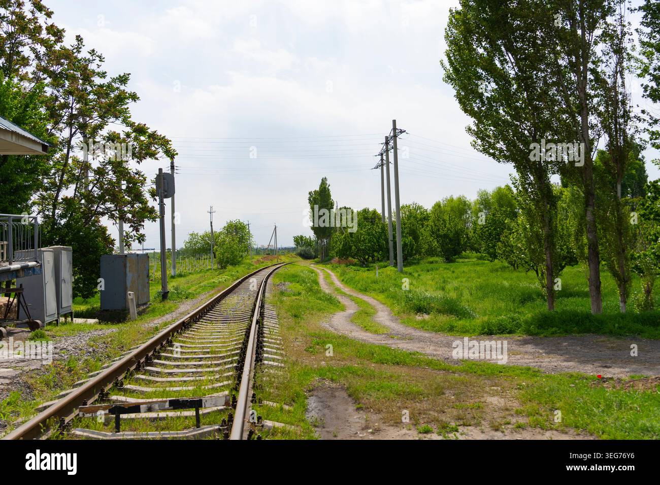 Curving railway track passing through green rural landscape with trees ...