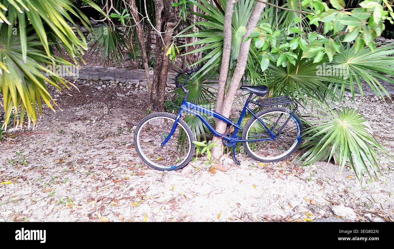 Playa Del Carmen, Quintana Roo, Mexico - April 17, 2026: A blue vintage ...