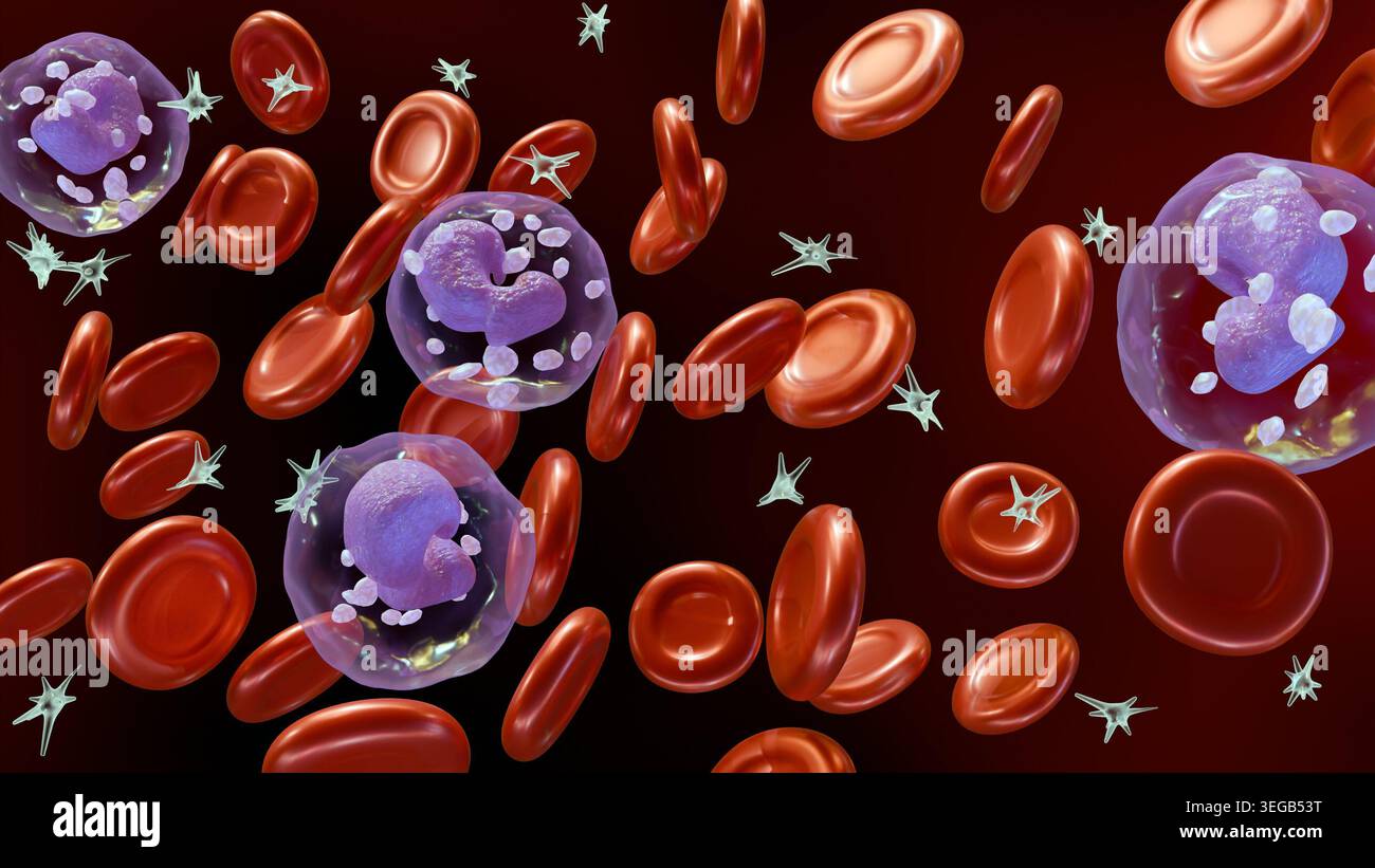A 3D medical illustration of depicts various blood components including ...