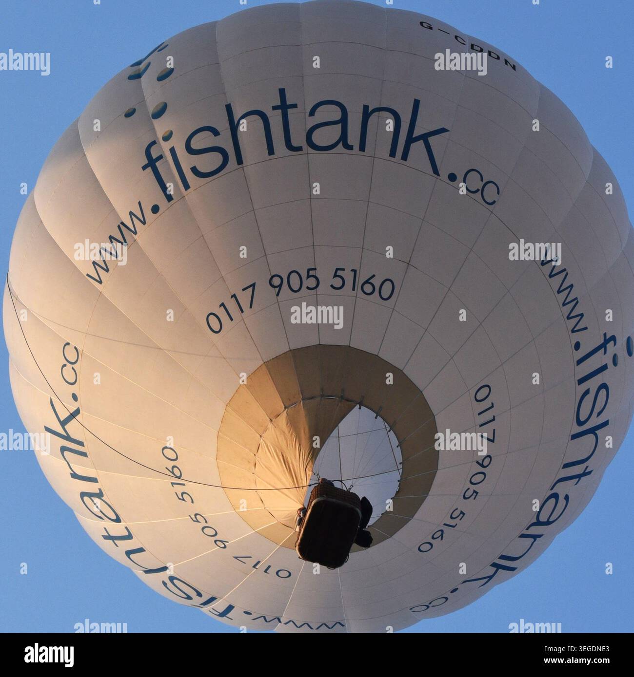 Fish tank hot air balloon hi-res stock photography and images - Alamy