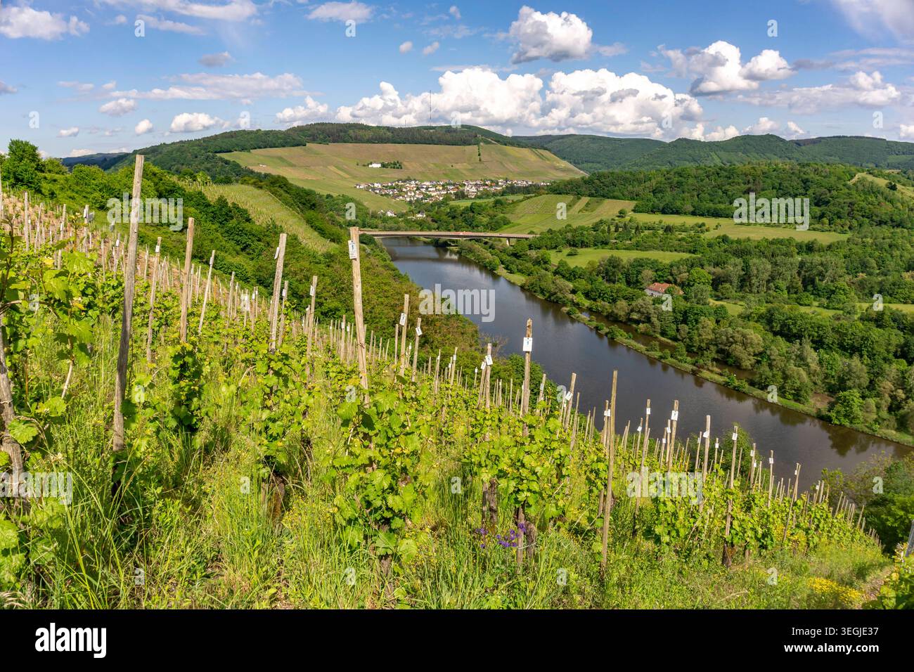 Flusslandschaft Weniberg und die Saar bei Saarburg, Rheinland-Pfalz ...
