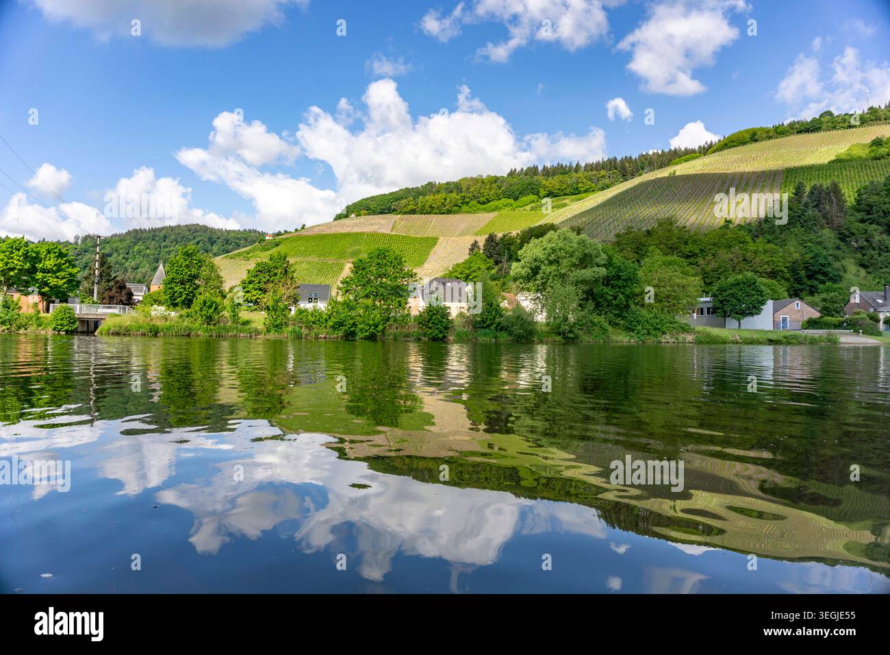 Flusslandschaft Weniberg und die Saar bei Saarburg, Rheinland-Pfalz ...