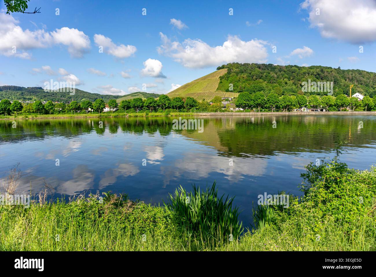 Flusslandschaft Weniberg und die Saar bei Saarburg, Rheinland-Pfalz ...