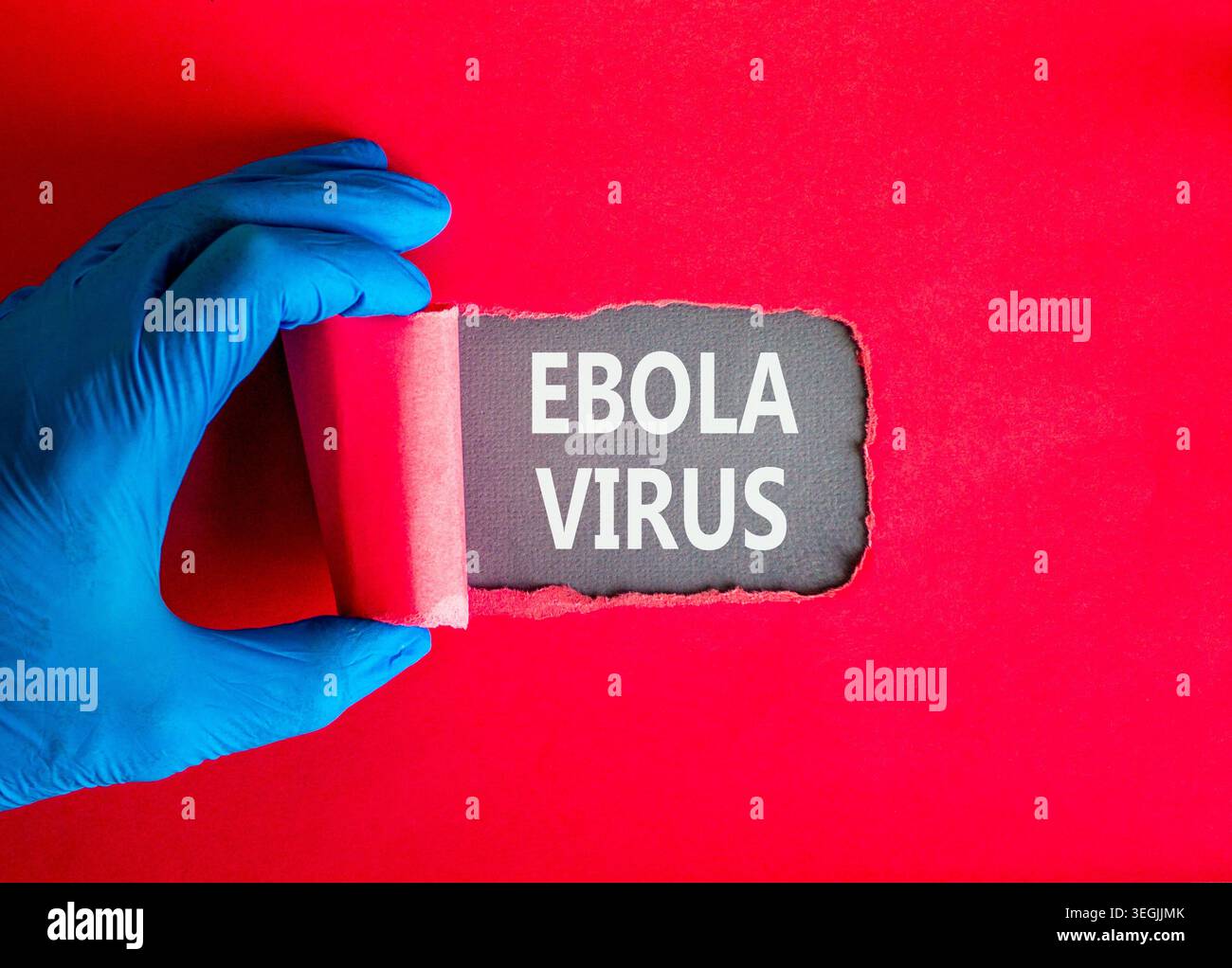 Ebola virus medical words symbol. Concept words Ebola virus on ...