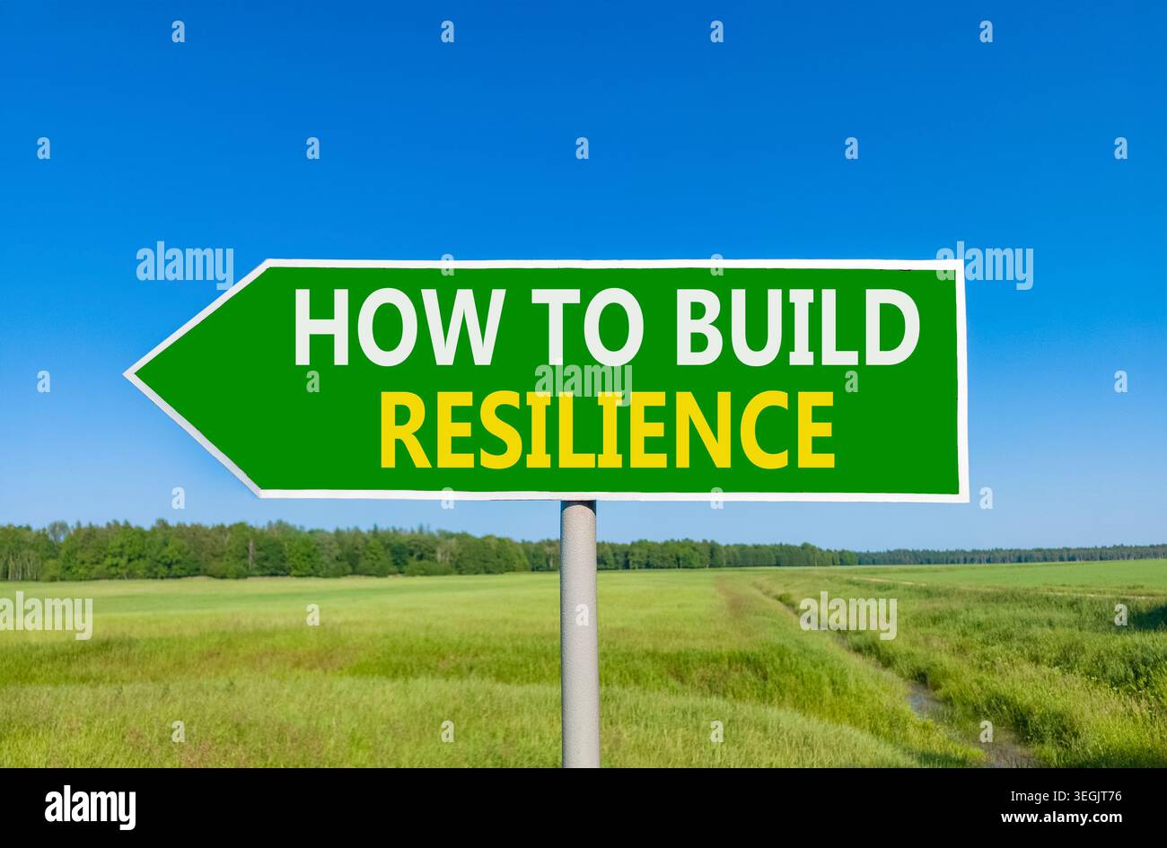 How to build resilience symbol. Concept words How to build resilience ...