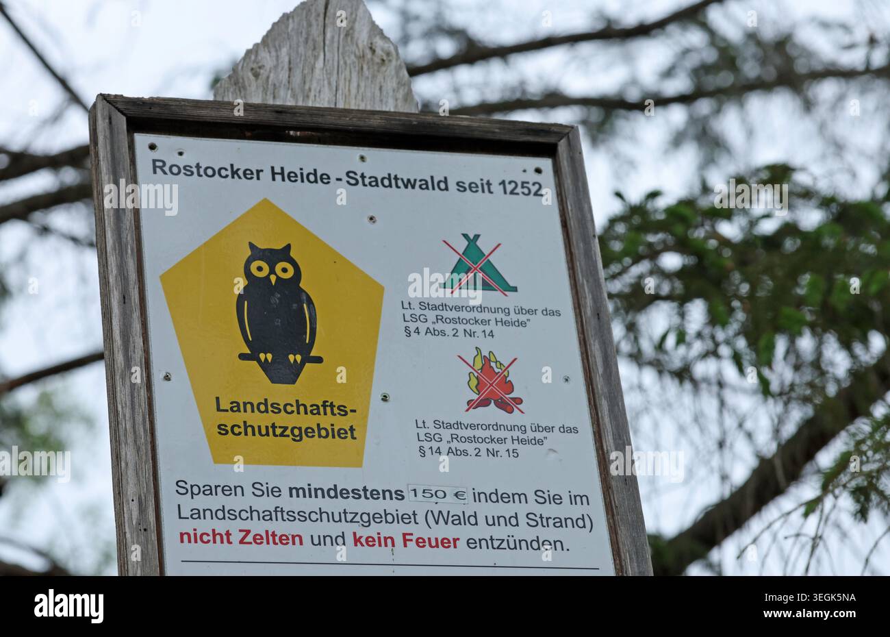 PRODUCTION - 20 May 2026, Mecklenburg-Western Pomerania, Graal-Müritz ...