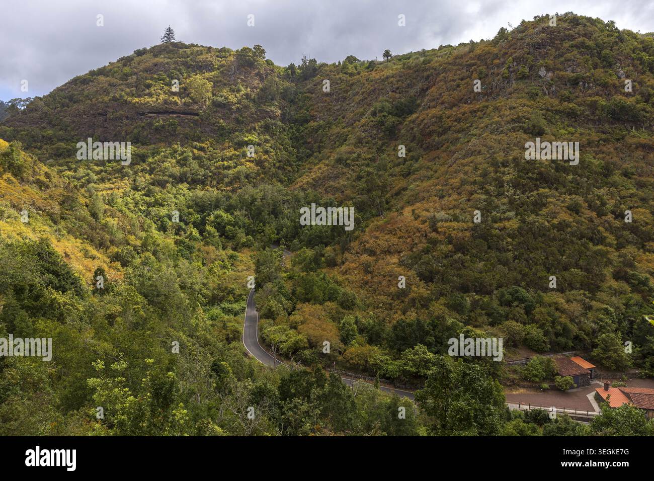 Lush green volcanic mountains and winding road in Gran Canaria, Canary ...