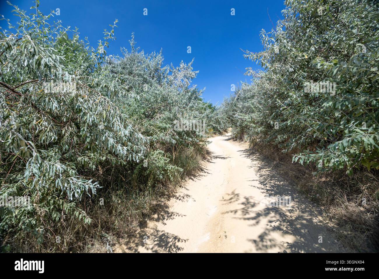 Narrow winding sandy dirt hi-res stock photography and images - Alamy