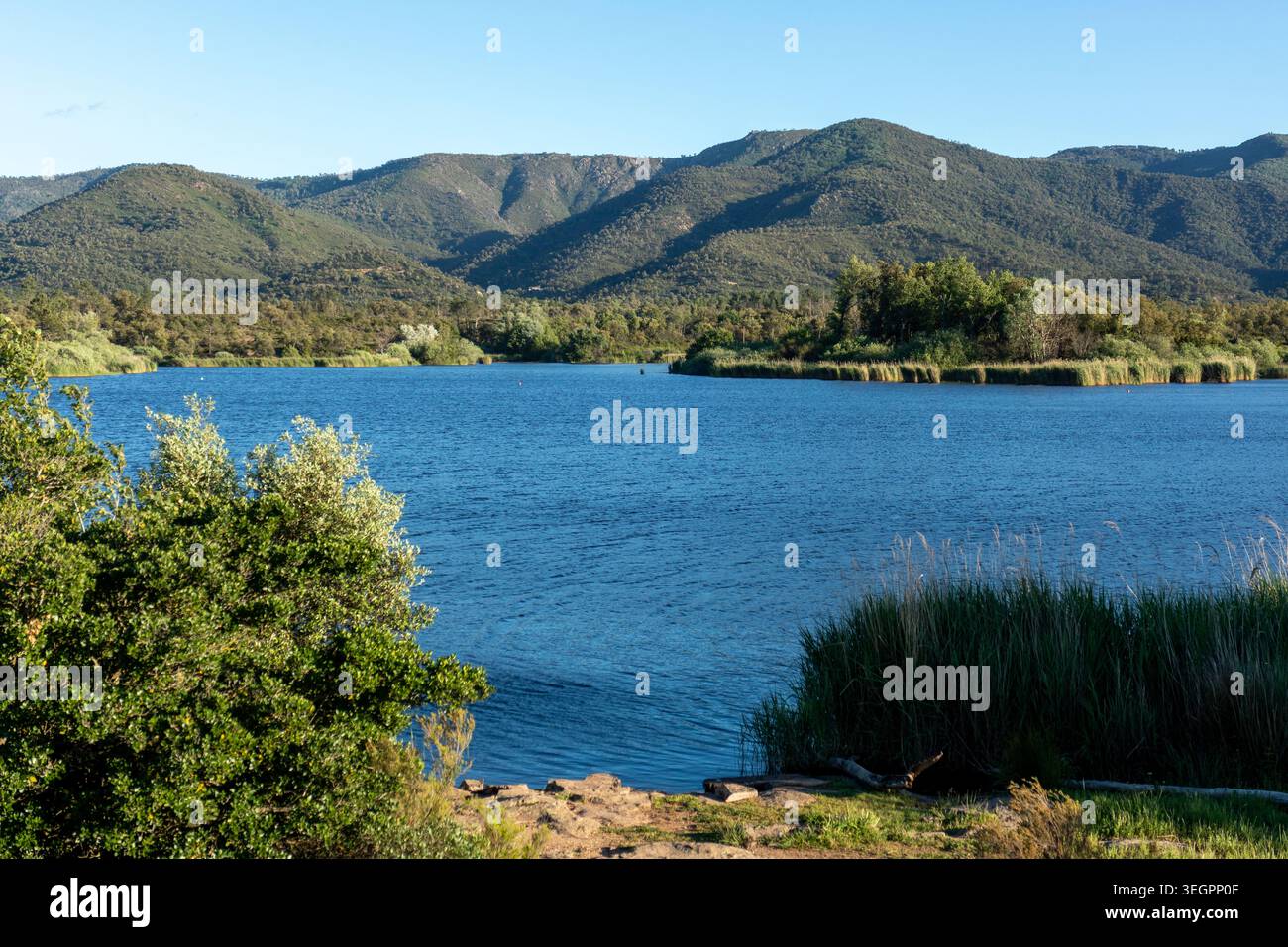Wide view of Lac des Escarcets in the Plaine des Maures National Nature ...