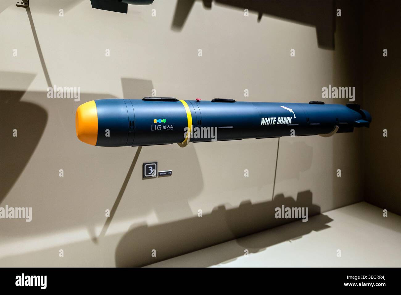 Indigenous torpedo hi-res stock photography and images - Alamy