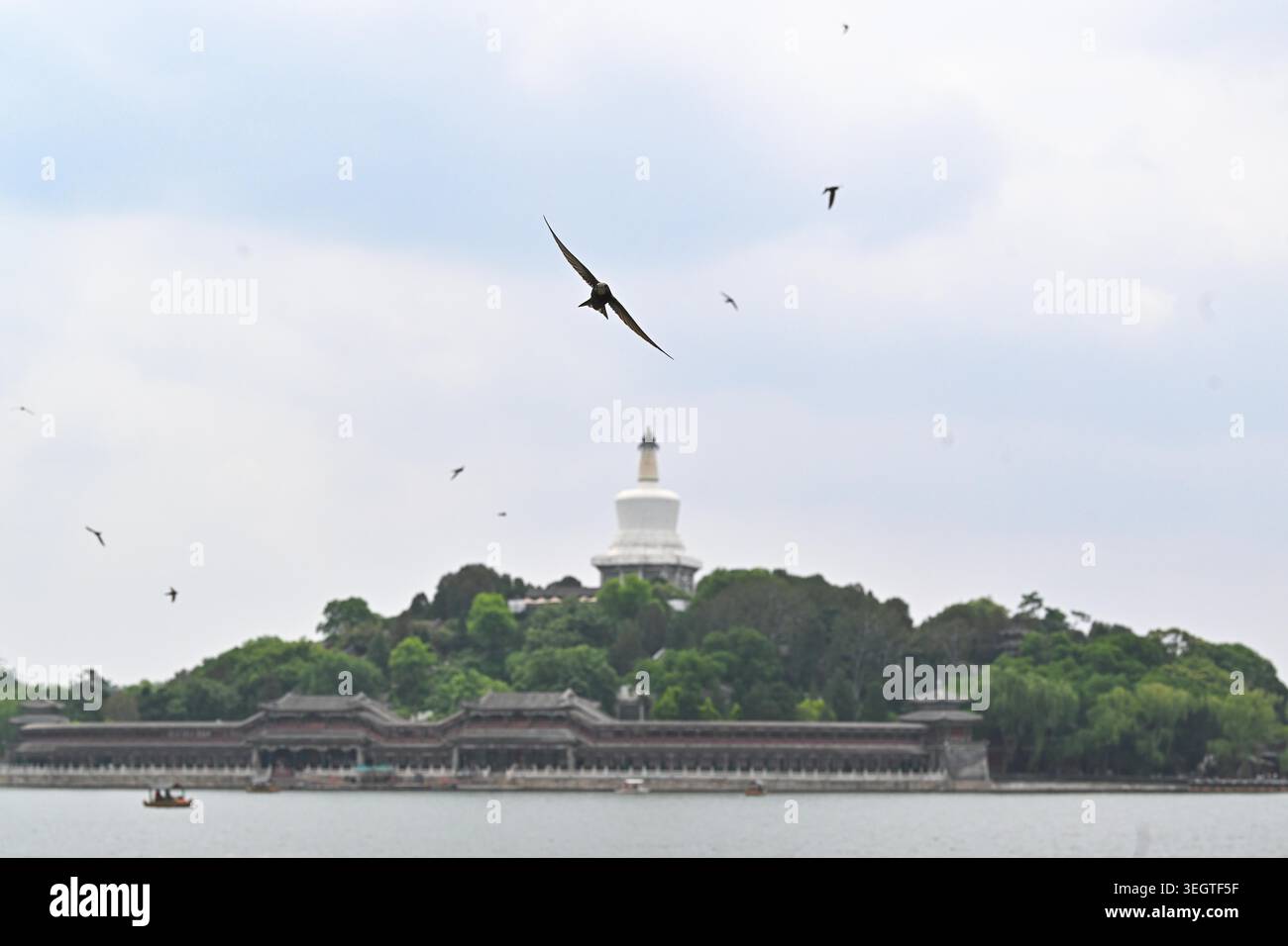 **CHINESE MAINLAND, HONG KONG, MACAU AND TAIWAN OUT**Beijing swifts ...