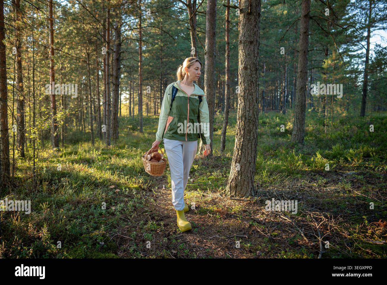 Woman with wicker basket full of porcini walking in autumn forest ...