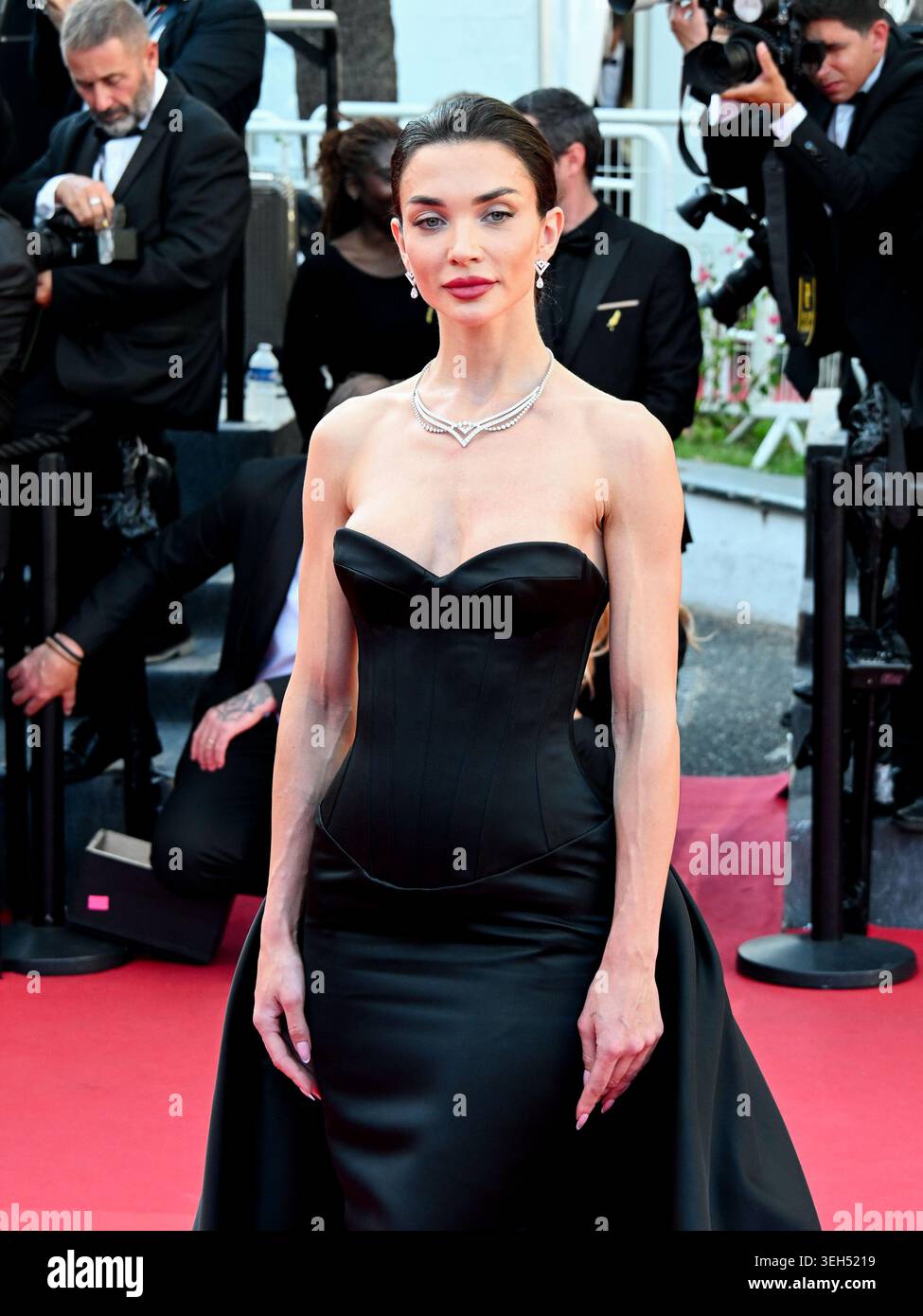 IPA84975388 - Cannes, 79th Cannes Film Festival 2026 - evening 11. Red ...