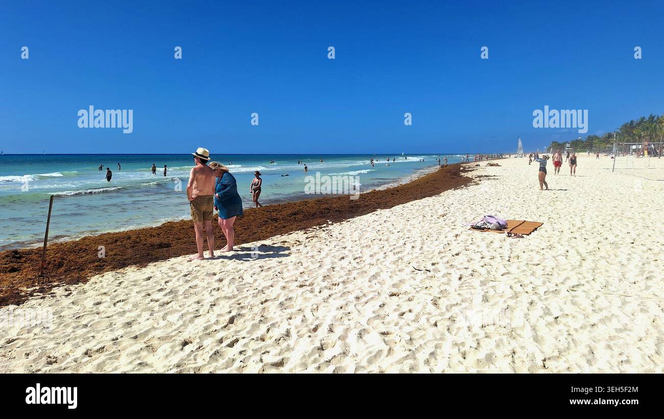 Playa del Carmen, QR, Mexico - April 18, 2026: Large amounts of ...