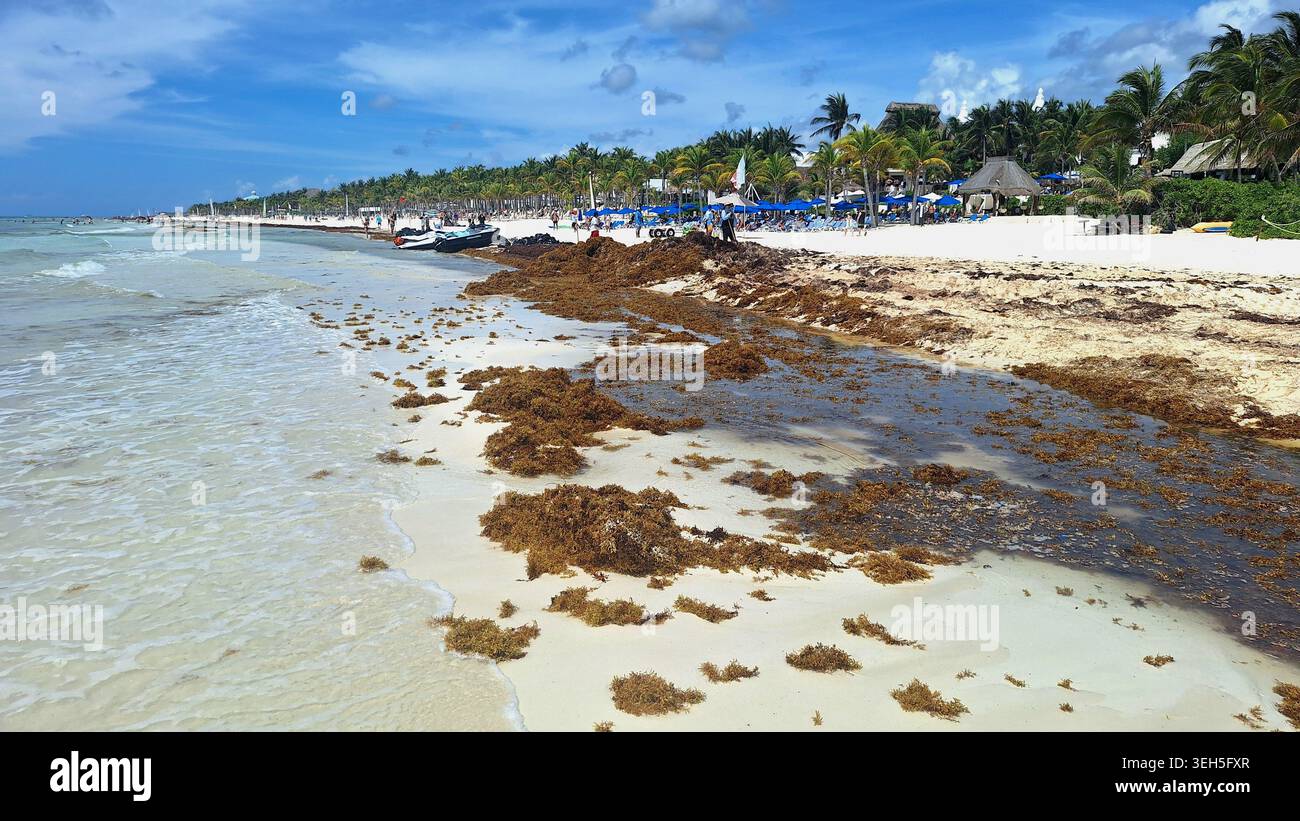 Playa del Carmen, QR, Mexico - April 18, 2026: The coastline shows ...