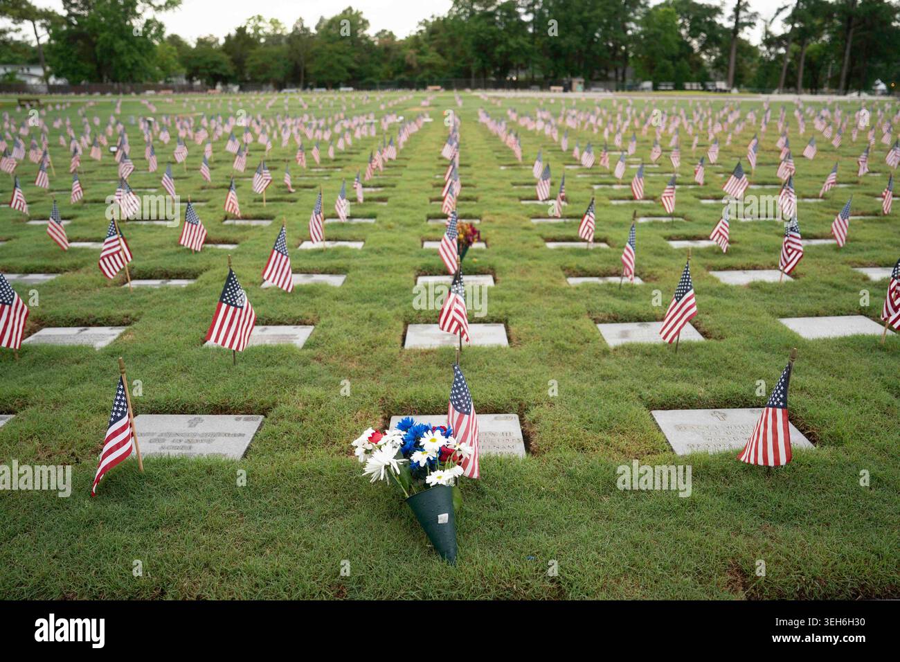 Flags and gravestones are seen at the Coastal Carolina State Veterans ...