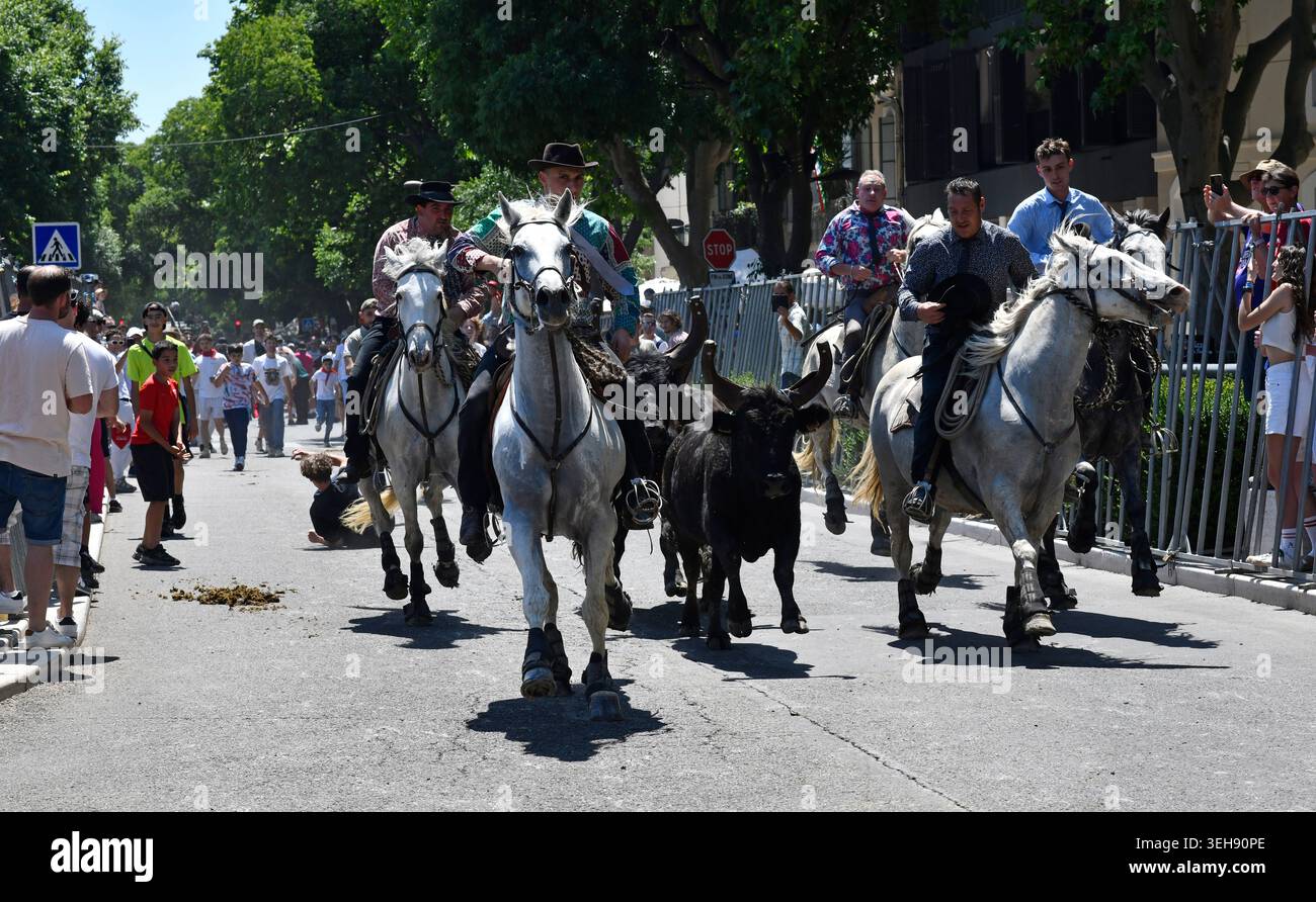 Nimes, Provence, France. May 25th 2026. La Feria de Nîmes. Romany ...