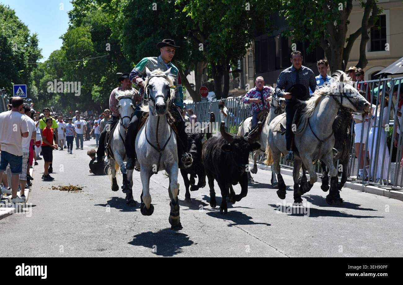 Nimes, Provence, France. May 25th 2026. La Feria de Nîmes. Romany ...