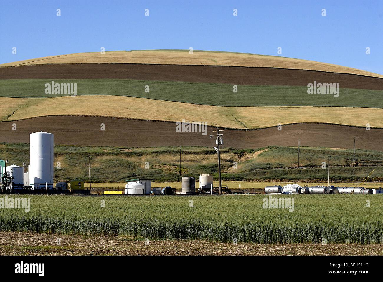 Near Dayton/Washington /USA- 12 June 2016 Ruler america farming and ...