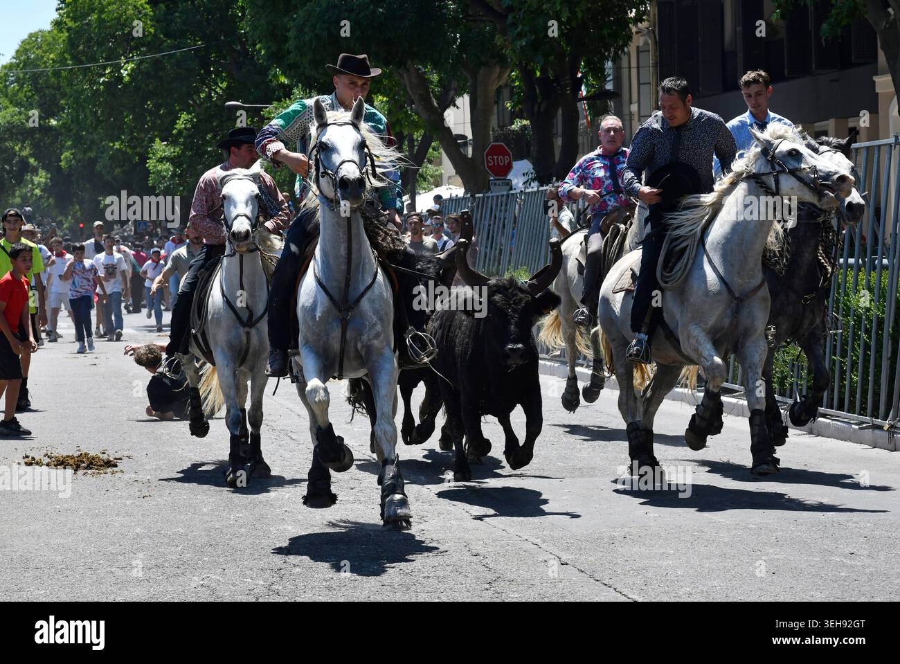 Nimes, Provence, France. May 23rd 2026. La Feria de Nîmes. Romany ...