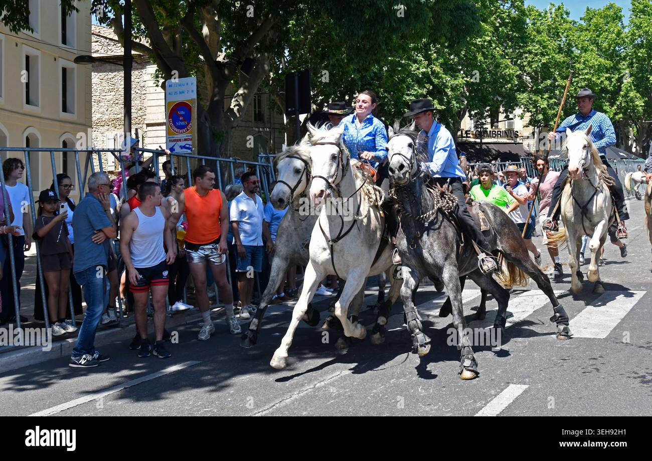Nimes, Provence, France. May 23rd 2026. La Feria de Nîmes. Romany ...