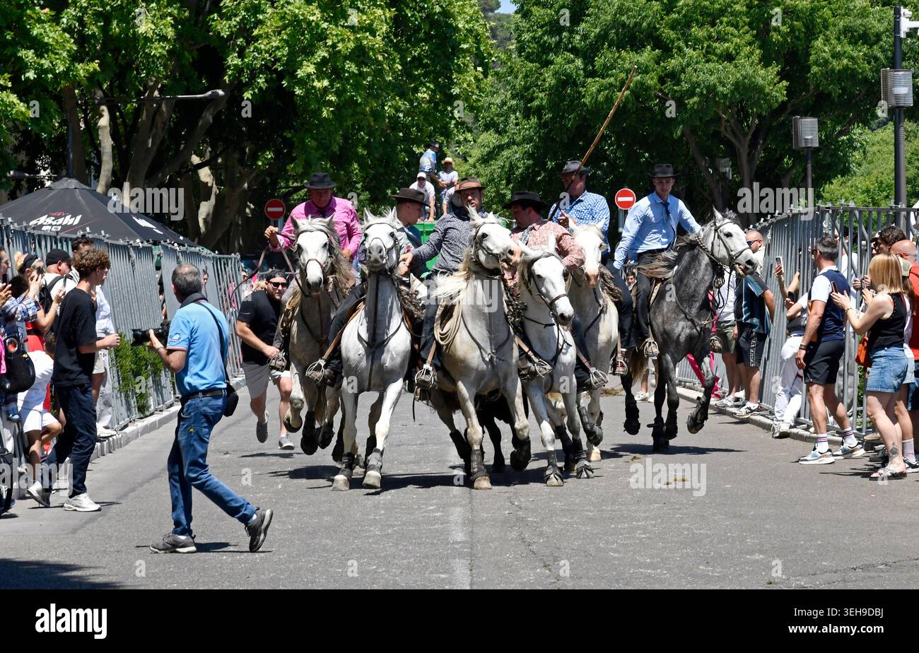 Nimes, Provence, France. May 25th 2026. La Feria de Nimes. Romany ...