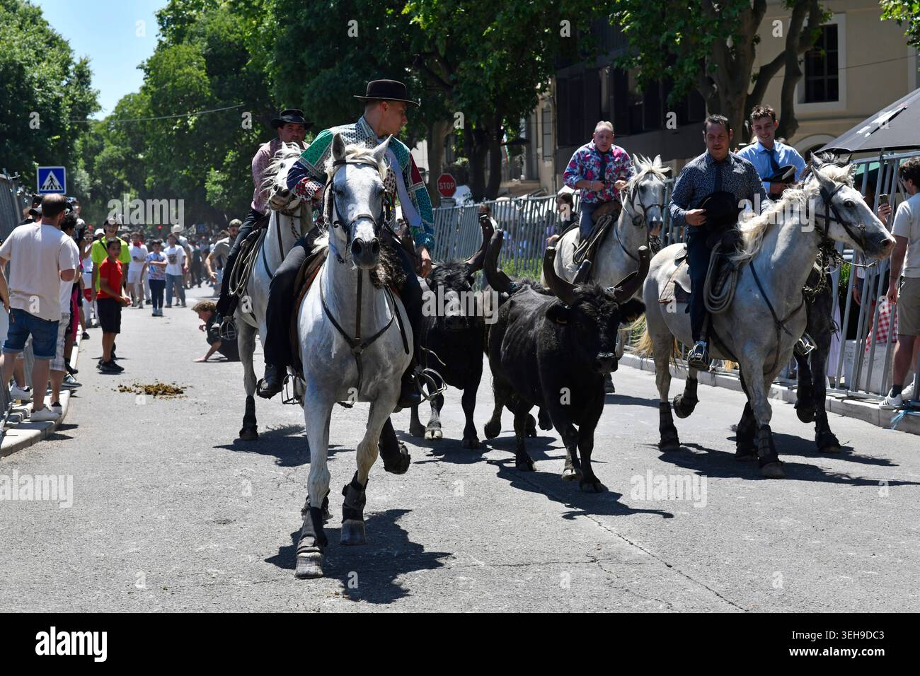 Nimes, Provence, France. May 25th 2026. La Feria de Nimes. Romany ...