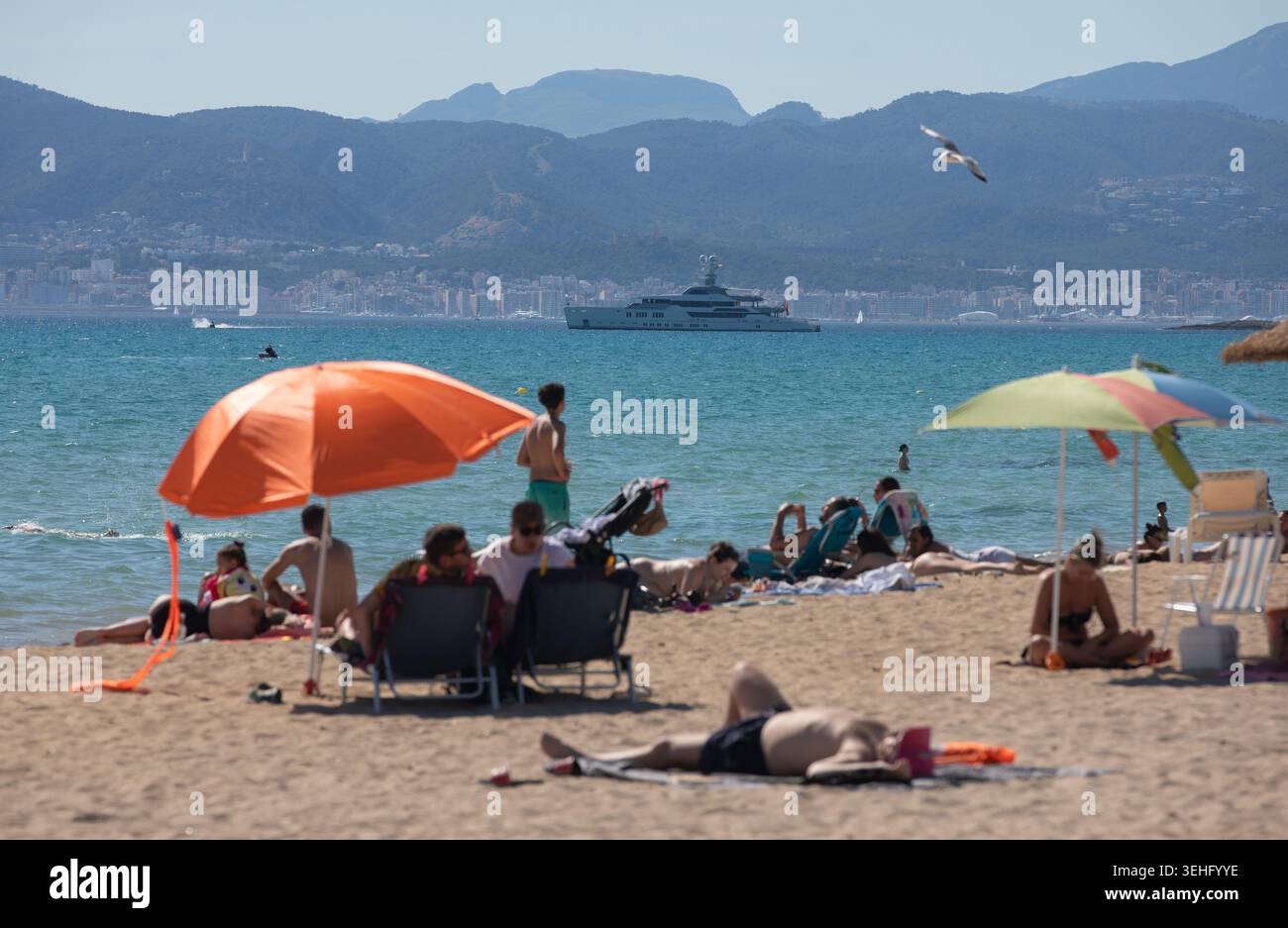 24 May 2026, Spain, Palma: People sunbathe and swim at Playa de Palma ...