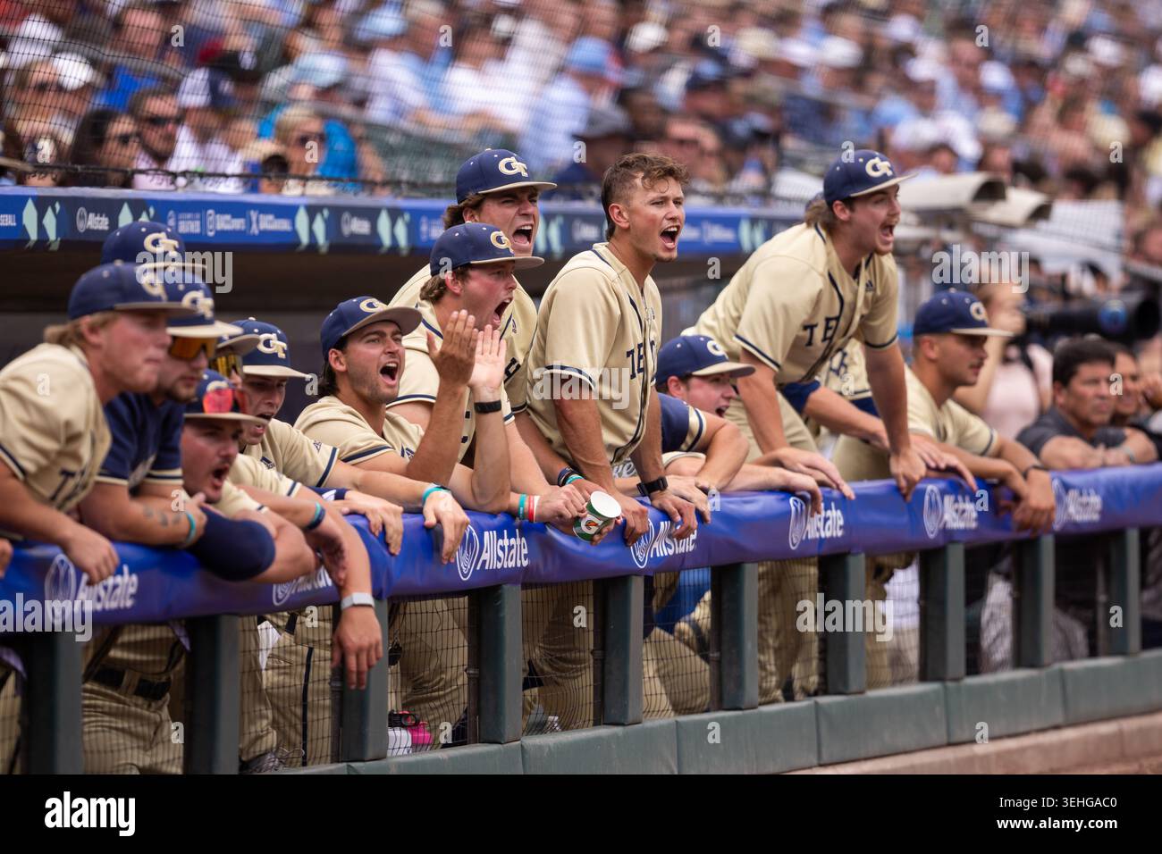 May 24, 2026: Georgia Tech Yellow Jackets dugout celebrates in the ...