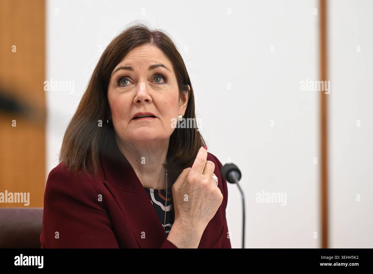 Liberal Senator Sarah Henderson speaks during Senate Estimates at ...