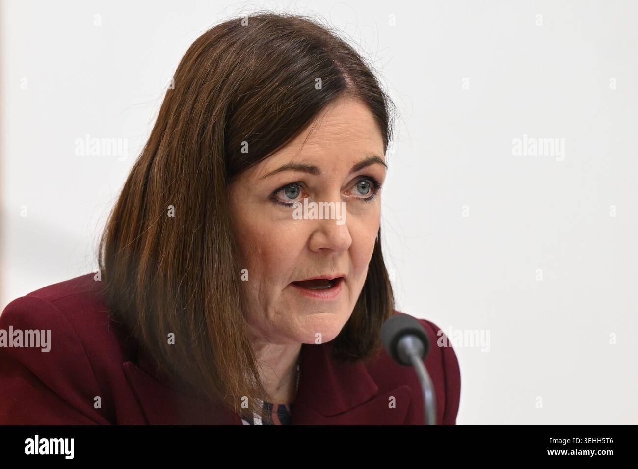 Liberal Senator Sarah Henderson speaks during Senate Estimates at ...
