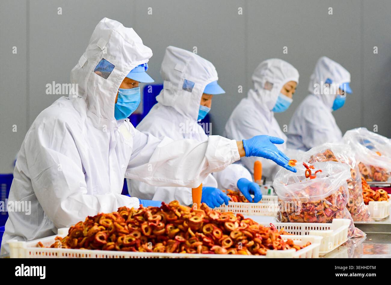 XING'AN LEAGUE, CHINA - MAY 22, 2026 - The employees of Kewei Food Co ...