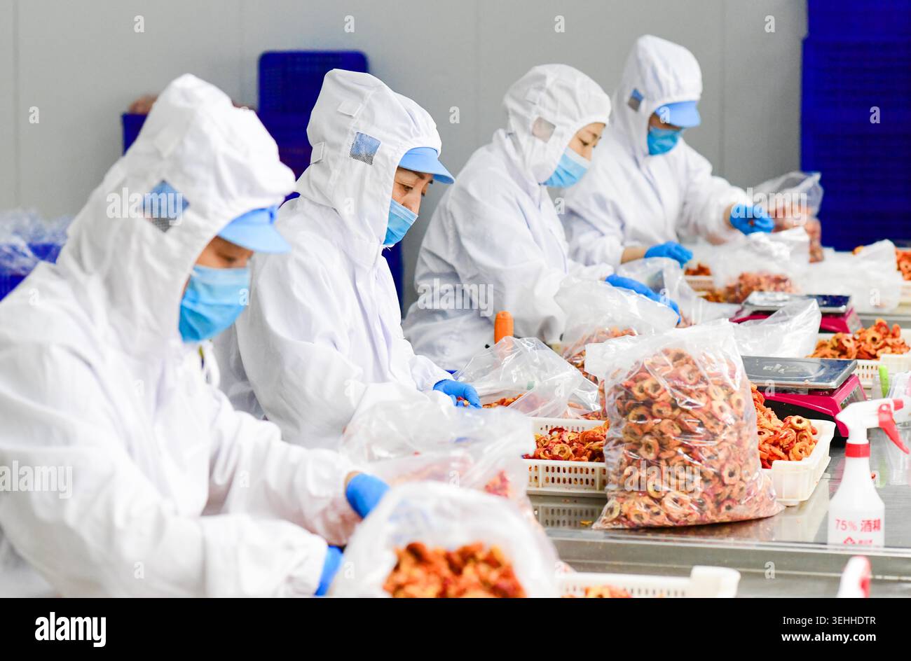 XING'AN LEAGUE, CHINA - MAY 22, 2026 - The employees of Kewei Food Co ...