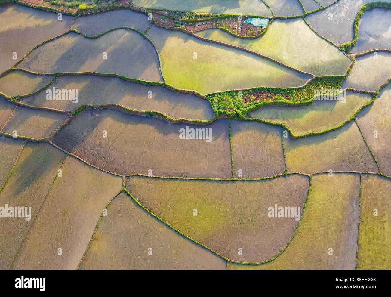 Terraced fields in Jiefang Village, Wenquan Town, Yuexi County, Anqing ...