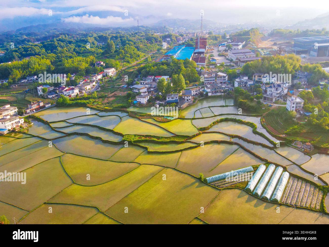 Terraced fields in Jiefang Village, Wenquan Town, Yuexi County, Anqing ...