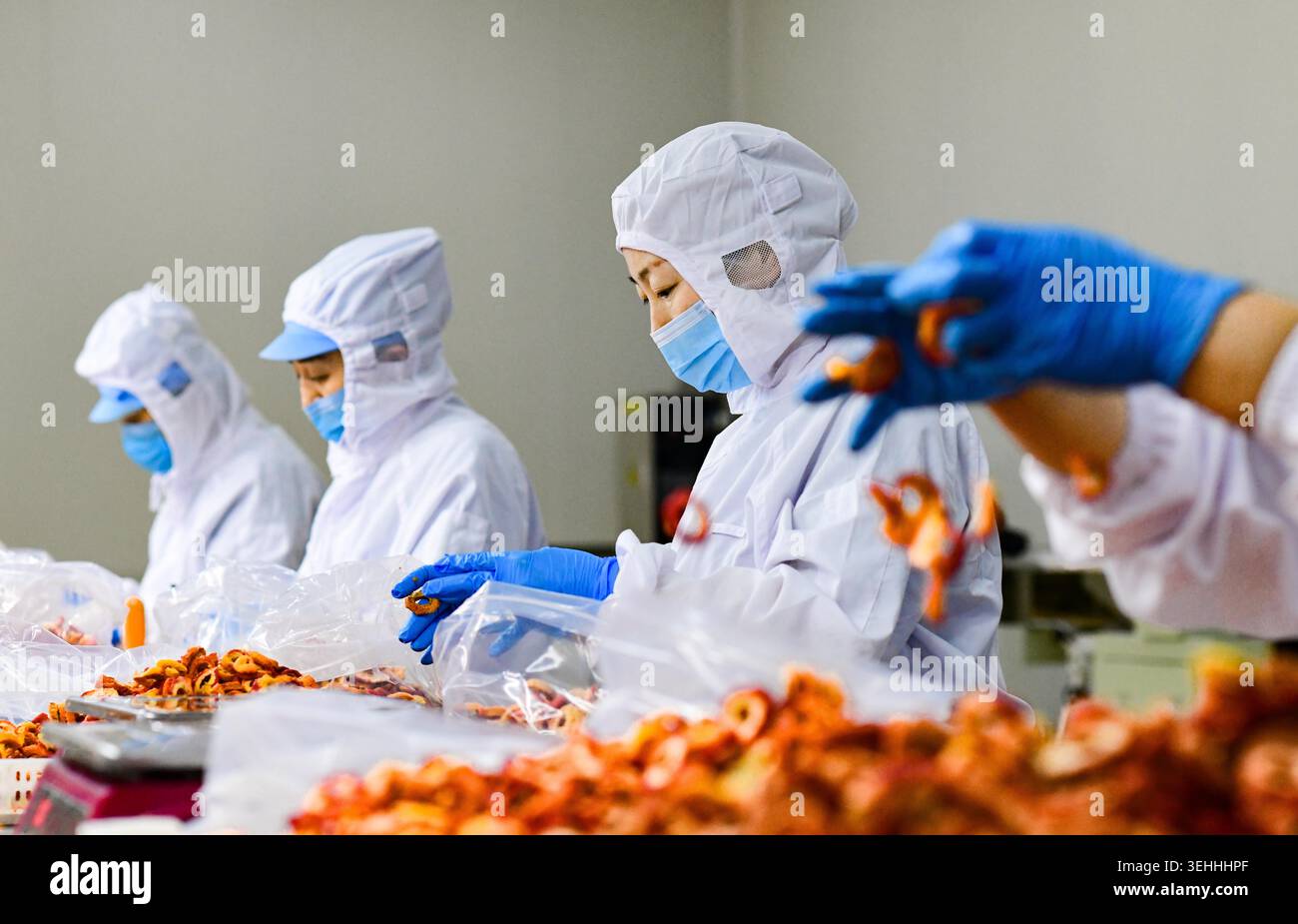 Workers sort dried crabapples on the production line at Kewei Food Co ...