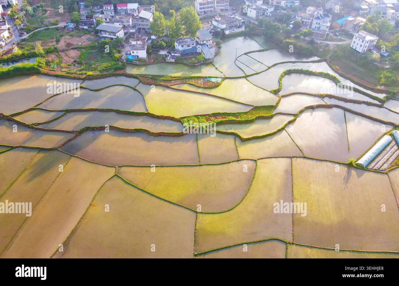 Terraced fields in Jiefang Village, Wenquan Town, Yuexi County, Anqing ...