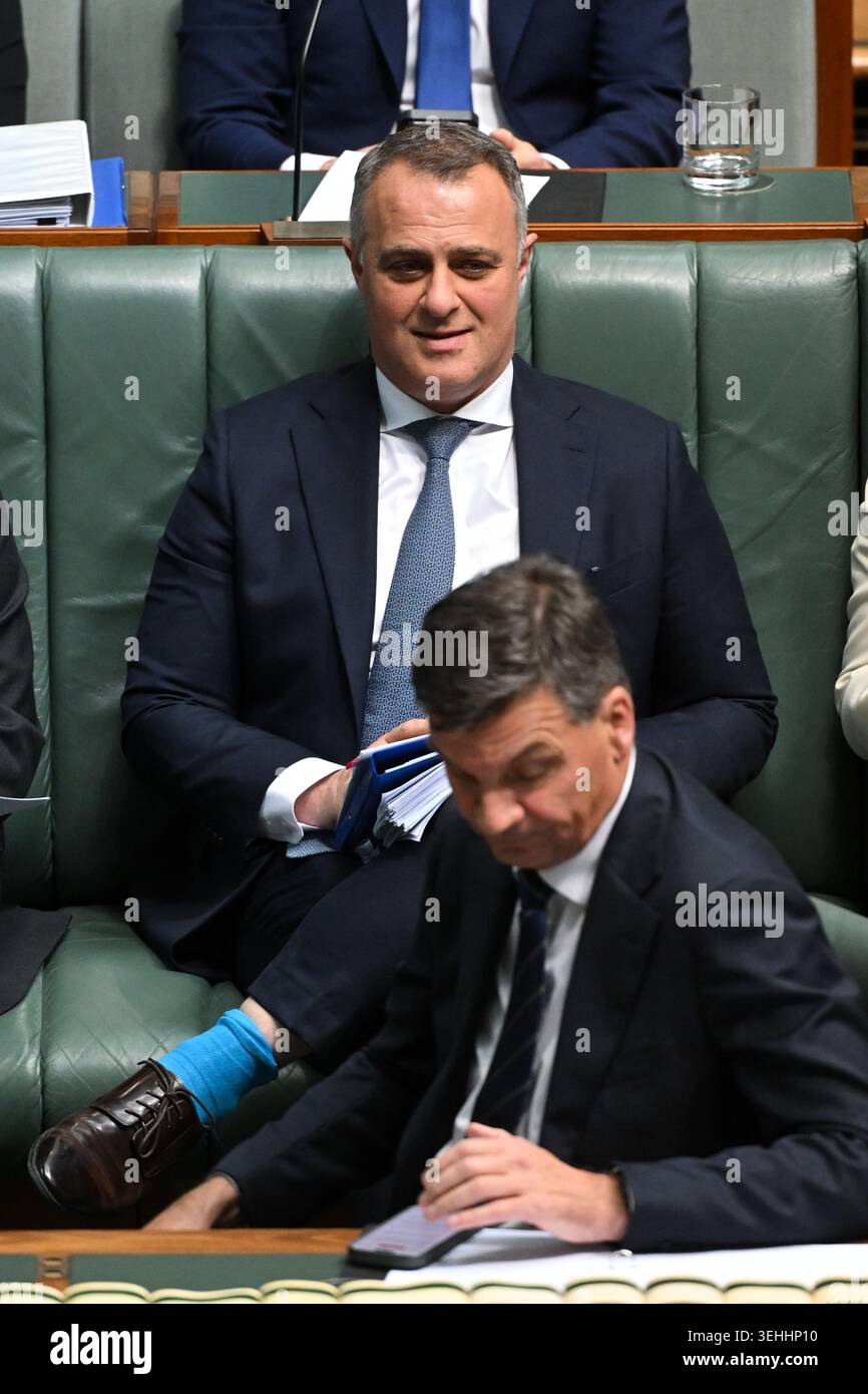 Shadow Treasurer Tim Wilson reacts during Question Time in the House of ...