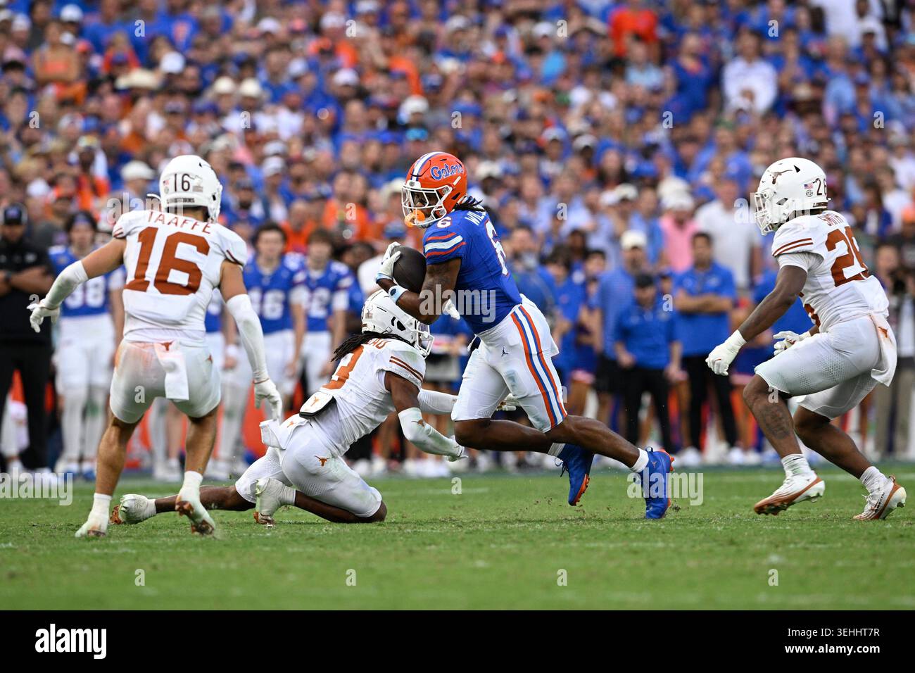 Florida wide receiver Dallas Wilson (6) runs after catching a pass ...
