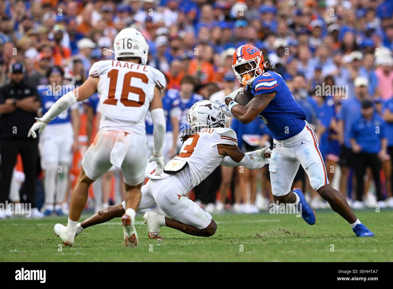 Florida wide receiver Dallas Wilson (6) runs after catching a pass in ...