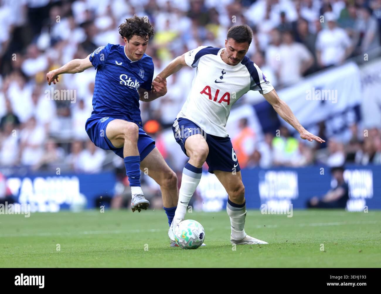 Joao palhinha tottenham everton hi-res stock photography and images - Alamy