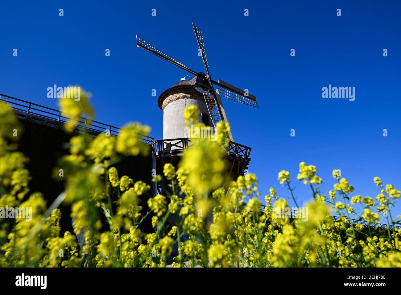 25 May 2026, Hesse, Bad Nauheim: The windmill tower "An der langen Wand ...