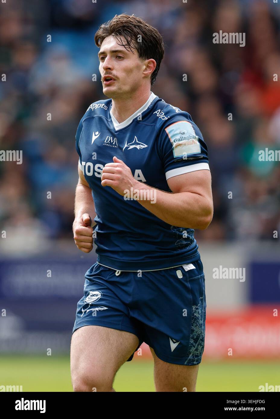 Sale Sharks' Raffi Quirke during the Gallagher PREM match at the ...