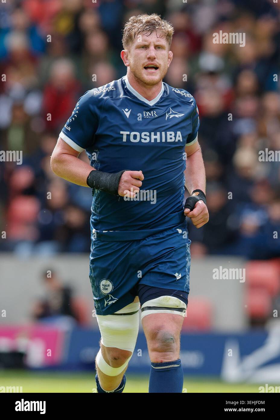 Sale Sharks' Jacques Vermeule during the Gallagher PREM match at the ...