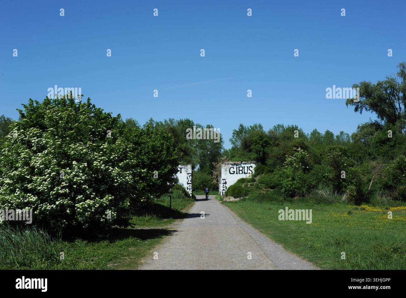 The cobbled path of Pont Gibus in Wallers, near the Trouee d Arenberg ...
